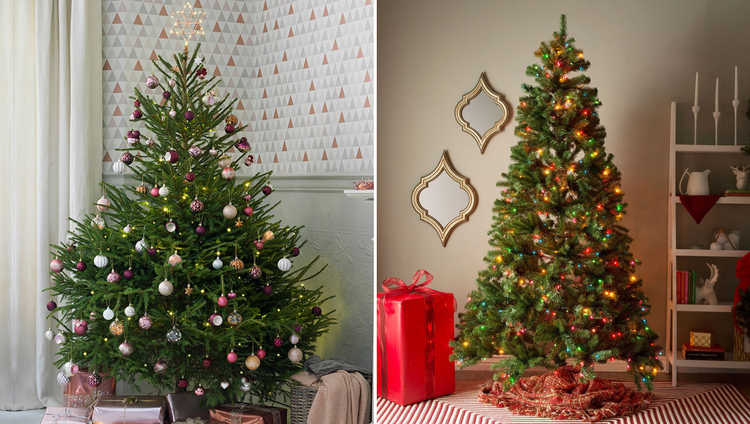 Real Vs Artificial Christmas Tree | Christmas Trees Direct