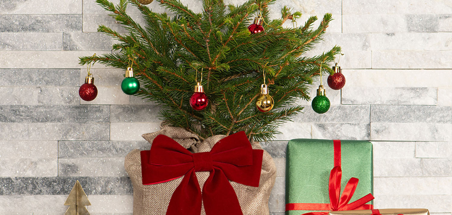 Guides & Information | Christmas Trees Direct