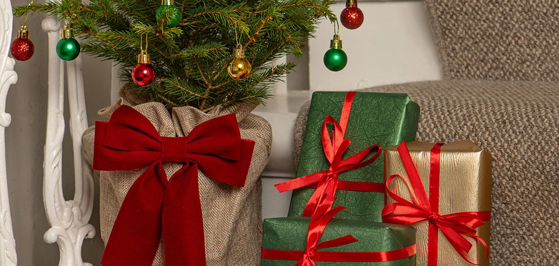 Where to buy real mini Christmas trees | Christmas Trees Direct