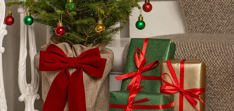 Where to buy real mini Christmas trees | Christmas Trees Direct