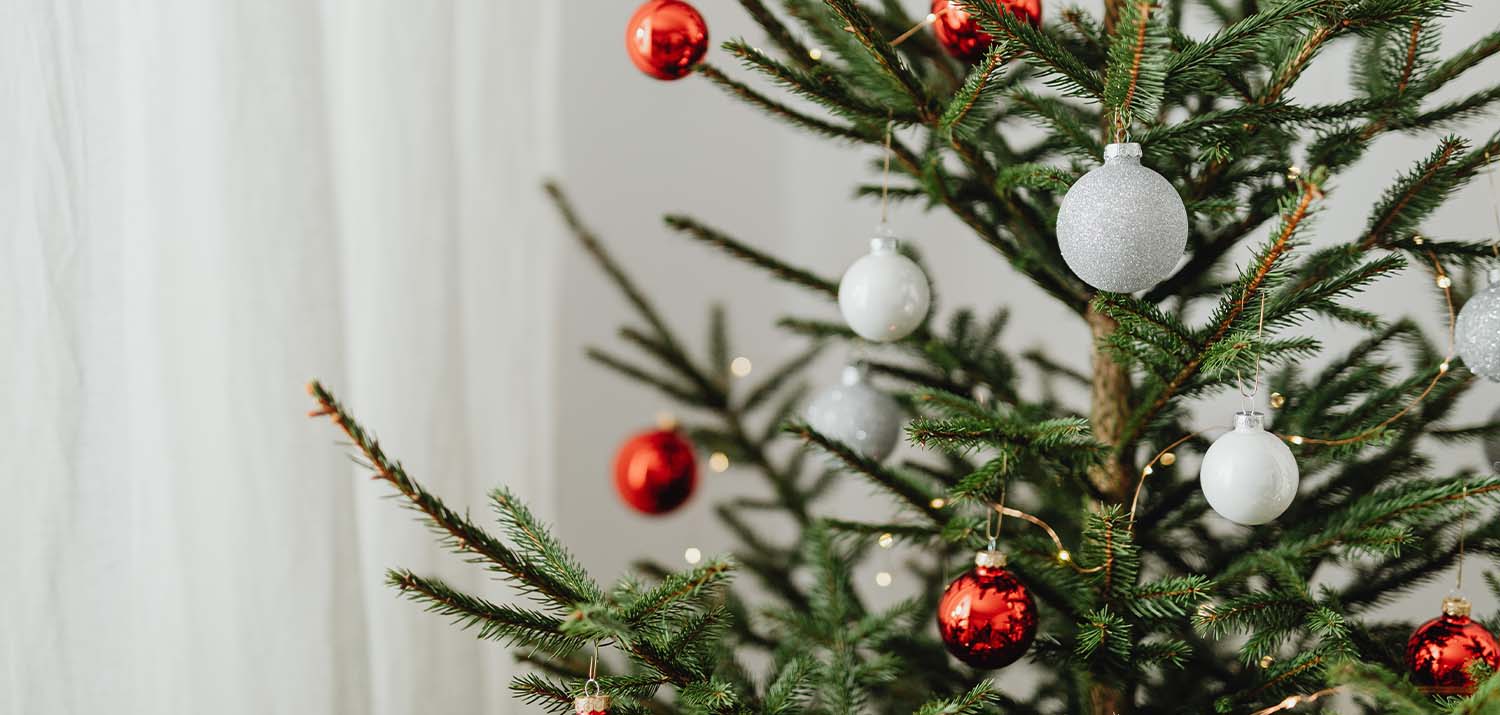 A guide to different heights of Christmas trees – Christmas Trees Direct