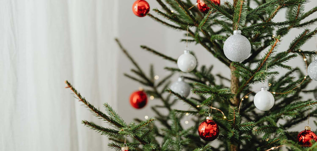 A guide to different heights of Christmas trees – Christmas Trees Direct