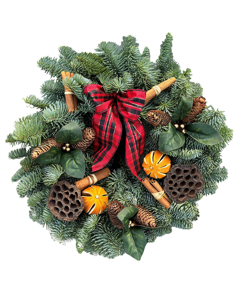 Buy Nordmann Fir Potted Christmas Tree | Free Delivery UK – Christmas ...