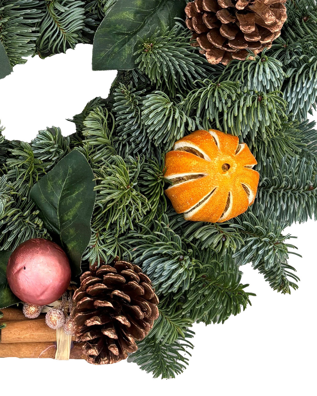 Buy Nordmann Fir Potted Christmas Tree | Free Delivery UK – Christmas ...