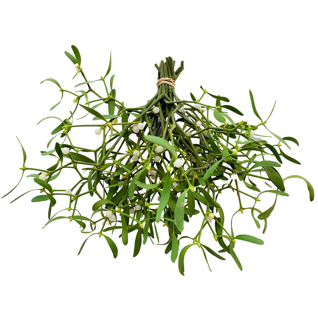 Real Christmas Garlands | Delivered to Your Door! – Christmas Trees Direct