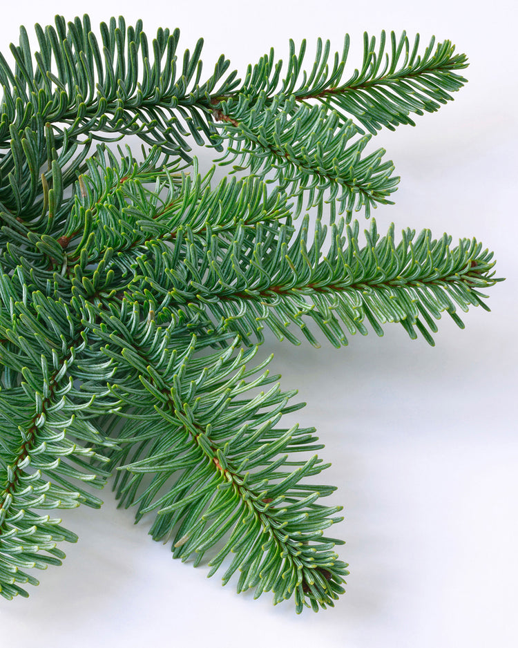 Foliage Bundle - Xmas Decorations | Free UK Delivery – Christmas Trees ...