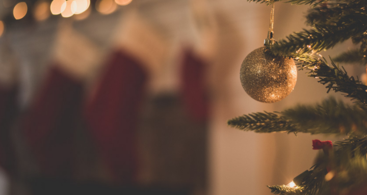 Where to buy real mini Christmas trees | Christmas Trees Direct