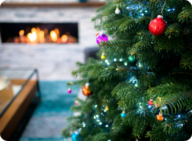 Gift Wrapped Christmas Trees | Delivered to Your Door! – Christmas ...